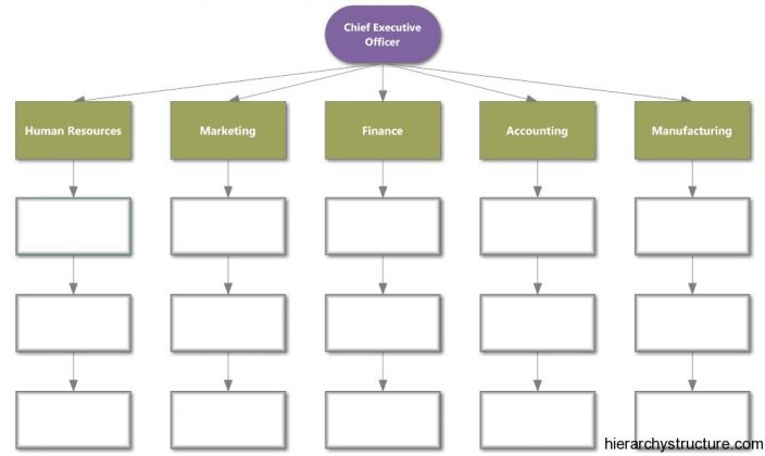 Business Executive Hierarchy | Hierarchical Structures And Charts