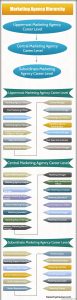 Marketing Agency Hierarchy | Hierarchystructure.com