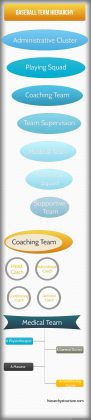 Baseball Team Hierarchy | Hierarchystructure.com