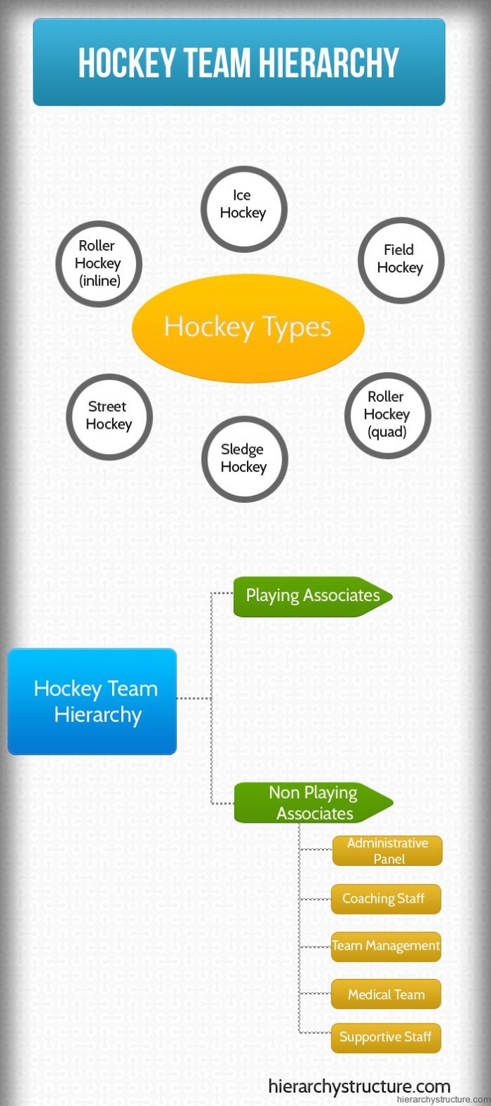 Hockey Team Hierarchy | Hierarchical structures And Charts