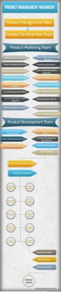 Product Management Hierarchy | Product management organization structure