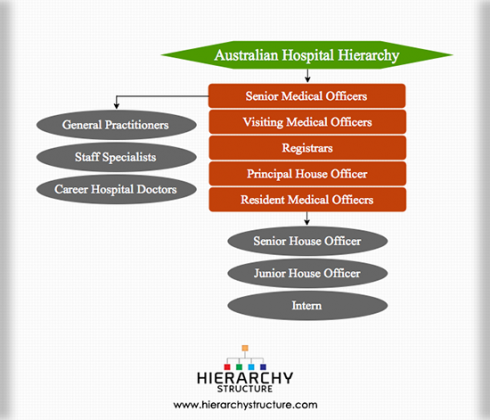 Australian Hospital Hierarchy | Management Structure Chart of Australia