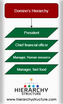 Domino's Hierarchy | Domino's Structure Hierarchy