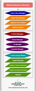 Walmart Business Hierarchy | Walmart Business Organization Chart