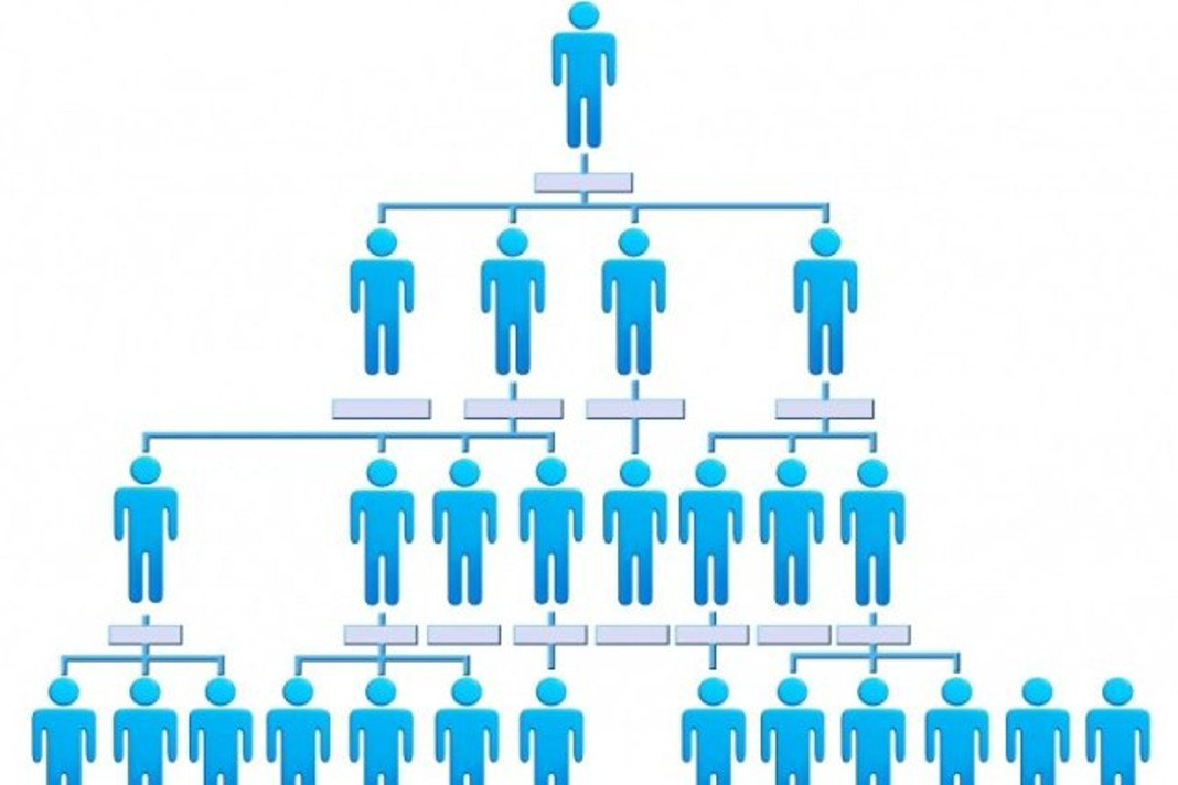 Startup Organizational Structure Which Is Better Horizontal Or Startup Organizational Structure Which Is Better Horizontal Or